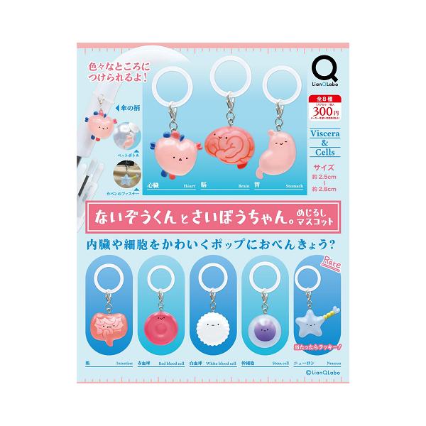 【発売日：2026年10月31日】ないぞうくんとさいぼうちゃん。 めじるしマスコットメーカー：リアンキューラボラインナップ1.心臓2.脳3.胃4.腸5.赤血球6.白血球7.幹細胞8.レア ニューロン【予約商品に関するご注意事項】☆決済の都合...