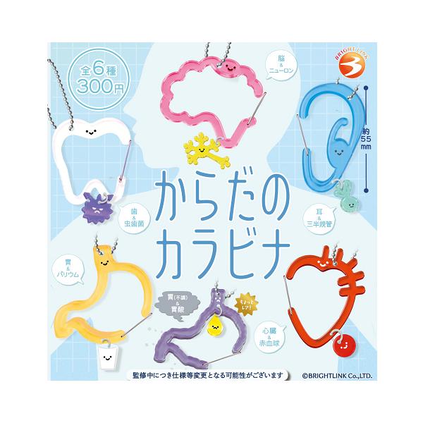 【発売日：2026年12月31日】からだのカラビナメーカー：ブライトリンクラインナップ1.脳＆ニューロン2.心臓＆赤血球3.耳＆三半規管4.歯＆虫歯菌5.胃＆バリウム6.胃（不調）＆胃酸【予約商品に関するご注意事項】☆決済の都合上、ご予約の...