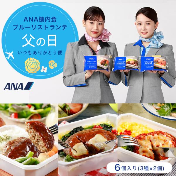 【ANA's Sky Kitchen】ANA国際線エコノミークラス機内食ブルーリストランテ 父の日いつもありがとう便   ６個入り人気のハンバーグ3メニュー食べ比べセットとなっております。内容量：6個（ビーフハンバーグステーキ 2個、ハンバ...