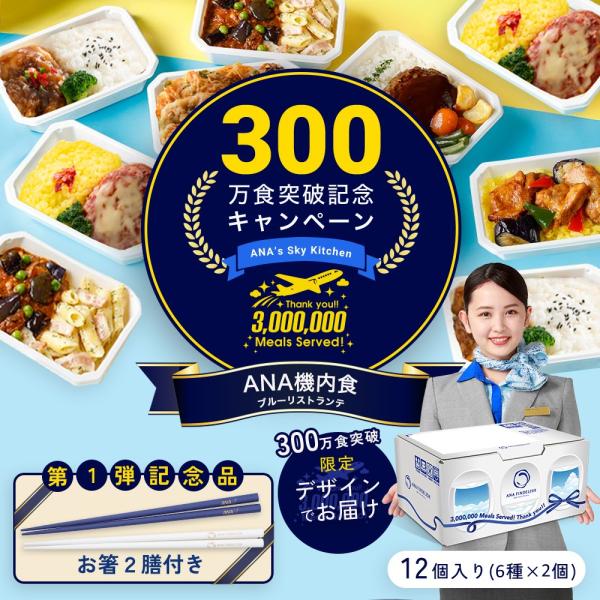 ANA国際線エコノミークラス機内食300万食記念！皆様に感謝の気持ちを込めて！機内食シリーズ6メニューとお箸がセットとなった新春記念福袋！【ANA's Sky Kitchen 】おうちで旅気分！！ANA国際線エコノミークラス機内食　メインデ...