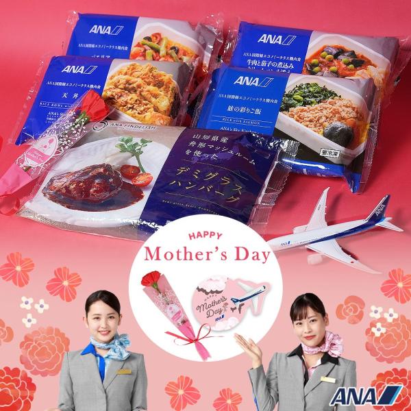 【発売日：2026年05月01日】母の日のギフトにぴったり！！ANAの旅気分を満喫できる冷凍機内食とシェフ監修の冷凍ハンバーグのセットをご用意いたしました。冷凍ワンプレートお弁当タイプなので、電子レンジの簡単調理でお楽しみいただけます。※こ...