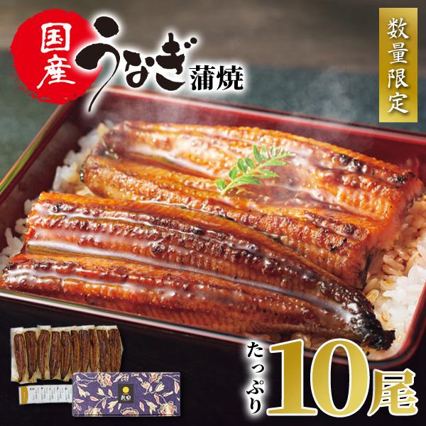 ●〇●ギフトシーンにおすすめ●〇●大森淡水 九州産うなぎ蒲焼 お取り寄せ お取り寄せグルメ 旬なグルメ 冬ギフト 御歳暮 お歳暮 御年賀 お年賀 年末年始 手土産 冷凍 クール便 人気 おしゃれ 高級 内祝い お返し お祝い お礼 内祝 御...