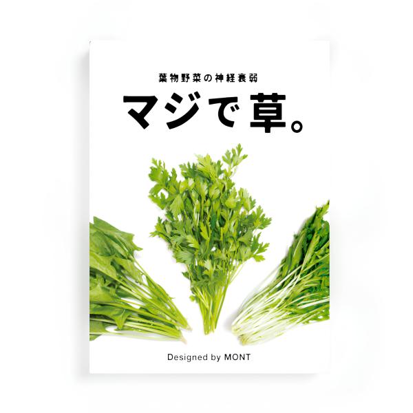 ・10種類の葉物野菜がプリントされたカードを神経衰弱の要領で揃えていく記憶力を競うゲームです。・2枚の野菜を揃えて名前を当てるだけの簡単なルールですが、どれも見た目が似ている10種類の野菜です。・プレイ時間は、約7分とサクッと終わるゲームな...