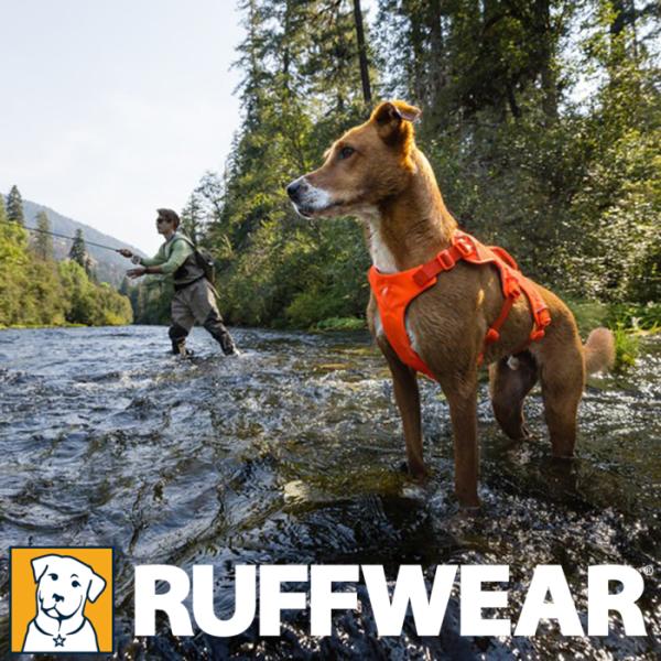 3つのストラップスタイルで体を包み込むようなデザインが特徴的なウェブマスターハーネスがリニューアルしました。ひとつ目は、頭を通すのを怖がる犬のために、首周りにもバックルが追加され、頭を通さずに着用ができるようになりました。ふたつ目は、胸元に...