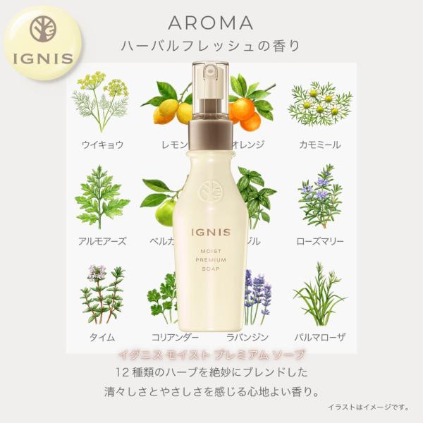 【国内正規品】【商品説明】やわらかな泡で包みこんで。ふっくらクリアな肌に洗いあげる洗顔料。ふんわりとうるおいのある泡が肌を心地よく包みこみ、やさしくしっかりよごれを浮き上がらせてオフする、ミルクタイプの洗顔料です。熟地黄エキス（アカヤジオウ...