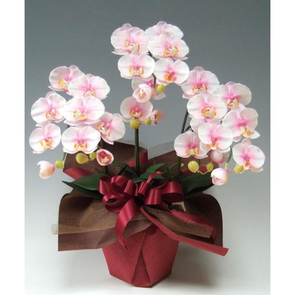 光触媒のコーティングで、除菌・消臭作用もある造花の胡蝶蘭。水やり不要で枯れない造花は、手間がかからない為、開店祝い・開業祝い・開院祝い・移転祝い・新築祝いなど、また、誕生日プレゼントや就任祝いにも人気です。また、温度に関係なく配送ができるの...