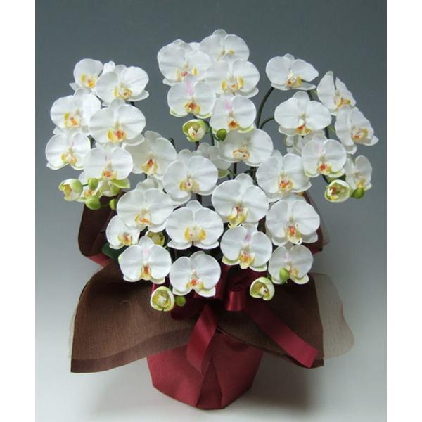光触媒のコーティングで、除菌・消臭作用もある造花の胡蝶蘭。水やり不要で枯れない造花は、手間がかからない為、開店祝い・開業祝い・開院祝い・移転祝い・新築祝いなど、また、誕生日プレゼントや就任祝いにも人気です。また、温度に関係なく配送ができるの...