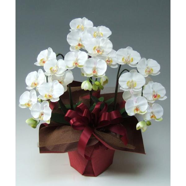 光触媒のコーティングで、除菌・消臭作用もある造花の胡蝶蘭。水やり不要で枯れない造花は、手間がかからない為、開店祝い・開業祝い・開院祝い・移転祝い・新築祝いなど、また、誕生日プレゼントや就任祝いにも人気です。また、温度に関係なく配送ができるの...