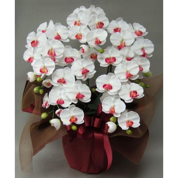 光触媒のコーティングで、除菌・消臭作用もある造花の胡蝶蘭。水やり不要で枯れない造花は、手間がかからない為、開店祝い・開業祝い・開院祝い・移転祝い・新築祝いなど、また、誕生日プレゼントや就任祝いにも人気です。また、温度に関係なく配送ができるの...