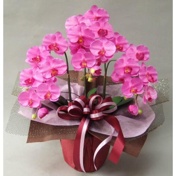 光触媒のコーティングで、除菌・消臭作用もある造花の胡蝶蘭。水やり不要で枯れない造花は、手間がかからない為、開店祝い・開業祝い・開院祝い・移転祝い・新築祝いなど、また、誕生日プレゼントや就任祝いにも人気です。また、温度に関係なく配送ができるの...