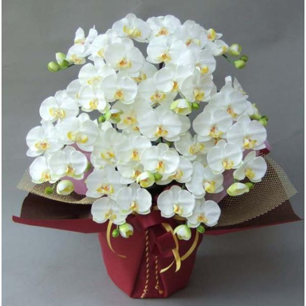 光触媒のコーティングで、除菌・消臭作用もある造花の胡蝶蘭。水やり不要で枯れない造花は、手間がかからない為、開店祝い・開業祝い・開院祝い・移転祝い・新築祝いなど、また、誕生日プレゼントや就任祝いにも人気です。また、温度に関係なく配送ができるの...