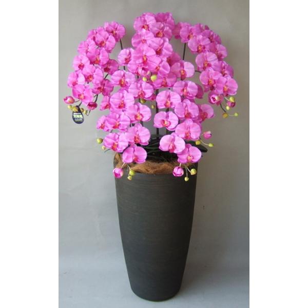 光触媒のコーティングで、除菌・消臭作用もある造花の胡蝶蘭。水やり不要で枯れない造花は、手間がかからない為、開店祝い・開業祝い・開院祝い・移転祝い・新築祝いなど、また、誕生日プレゼントや就任祝いにも人気です。また、温度に関係なく配送ができるの...