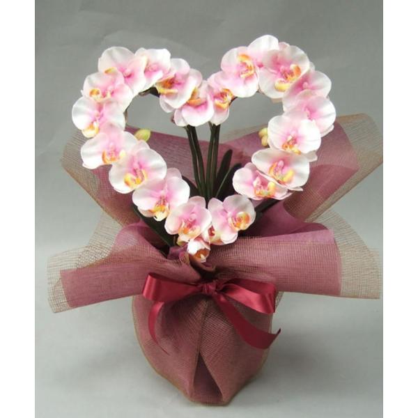 光触媒のコーティングで、除菌・消臭作用もある造花の胡蝶蘭。水やり不要で枯れない造花は、手間がかからない為、開店祝い・開業祝い・開院祝い・移転祝い・新築祝いなど、また、誕生日プレゼントや就任祝いにも人気です。また、温度に関係なく配送ができるの...