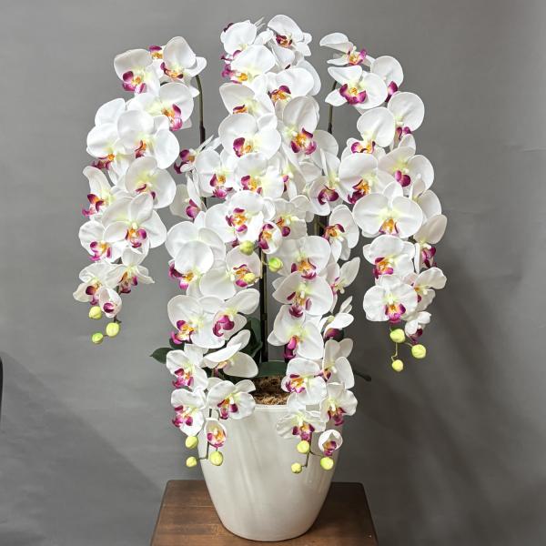 光触媒のコーティングで、除菌・消臭作用もある造花の胡蝶蘭。水やり不要で枯れない造花は、手間がかからない為、開店祝い・開業祝い・開院祝い・移転祝い・新築祝いなど、また、誕生日プレゼントや就任祝いにも人気です。また、温度に関係なく配送ができるの...