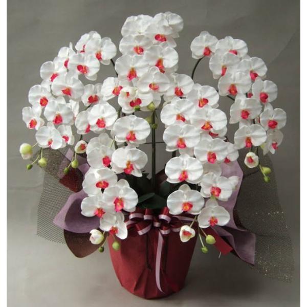 光触媒のコーティングで、除菌・消臭作用もある造花の胡蝶蘭。水やり不要で枯れない造花は、手間がかからない為、開店祝い・開業祝い・開院祝い・移転祝い・新築祝いなど、また、誕生日プレゼントや就任祝いにも人気です。また、温度に関係なく配送ができるの...