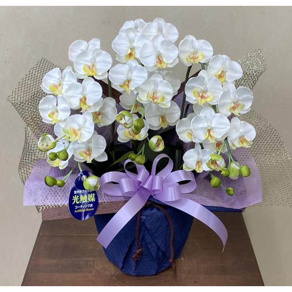 光触媒のコーティングで、除菌・消臭作用もある造花の胡蝶蘭。水やり不要で枯れない造花は、手間がかからない為、法事やお盆、お彼岸、お仏壇のお供えに。また、温度に関係なく配送ができるので、冬季の北海道や東北などの寒冷地へも配達可能です。贈答用には...