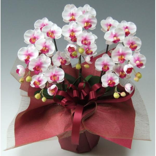 光触媒のコーティングで、除菌・消臭作用もある造花の胡蝶蘭。水やり不要で枯れない造花は、手間がかからない為、開店祝い・開業祝い・開院祝い・移転祝い・新築祝いなど、また、誕生日プレゼントや就任祝いにも人気です。また、温度に関係なく配送ができるの...