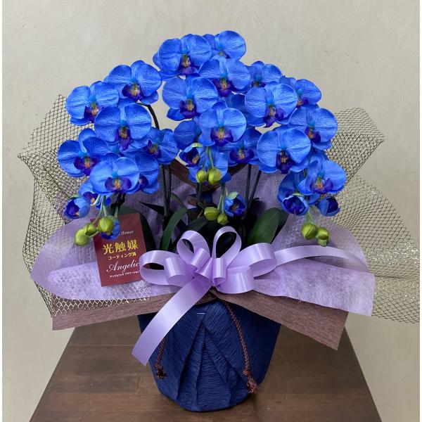 光触媒のコーティングで、除菌・消臭作用もある造花の胡蝶蘭。水やり不要で枯れない造花は、手間がかからない為、法事やお盆、お彼岸、お仏壇のお供えに。また、温度に関係なく配送ができるので、冬季の北海道や東北などの寒冷地へも配達可能です。贈答用には...