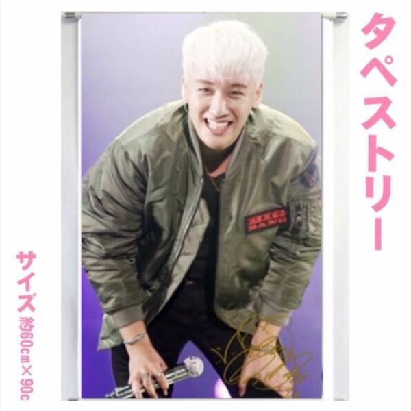 大きなサイズの布製タペストリーです。サイズ：６０×９０ｃｍ★店舗でも販売している商品のため、在庫があればすぐにお送りしますが、売り切れの際にはお取り寄せとなります。★日本郵便でのお送り、ポスト投函となります。★在庫の有無はお気軽に店舗までお...