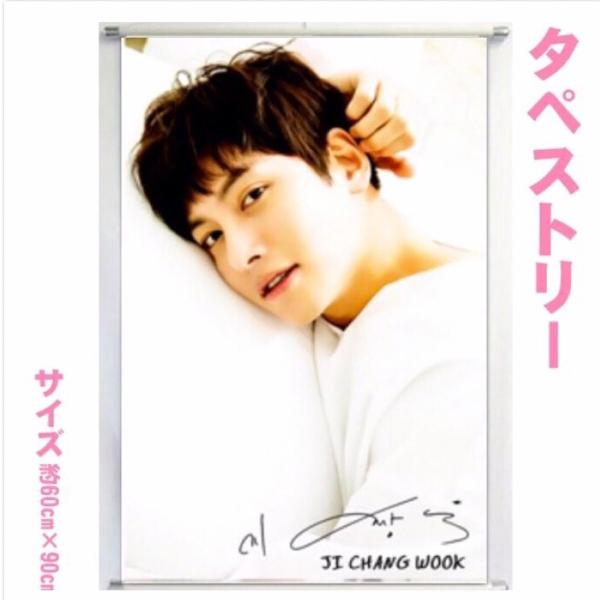 大きなサイズの布製タペストリーです。サイズ：６０×９０ｃｍ★店舗でも販売している商品のため、在庫があればすぐにお送りしますが、売り切れの際にはお取り寄せとなります。★在庫の有無は店舗までお問い合わせください。（アンジーソウル店舗/0276-...