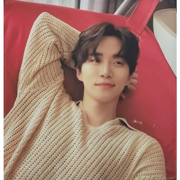 ■ミニハンカチ・韓流グッズ・表面に写真がプリントされたハンカチです。・吸水性はよくありません。■サイズ：約19×20ｃｍ■素材：ポリエステル