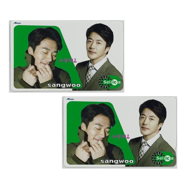 シール/ステッカーsuicaやPASMO、nanacoなどにぴったり貼れるカードサイズのシールです。サイズ：5.5×8.5ｃｍ★注意★チャージの際は購入機にシールを貼ったカードを挿入すると引っかかりやすいので、タッチ式でチャージしてください...