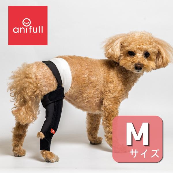 膝サポーターの集大成<br>誰でも楽々装着！履くタイプの膝サポーター<br><br>【商品説明】<br>1. 誰が装着しても40秒でOK！履いて巻くだけの簡単装着！<br>2. 軽...