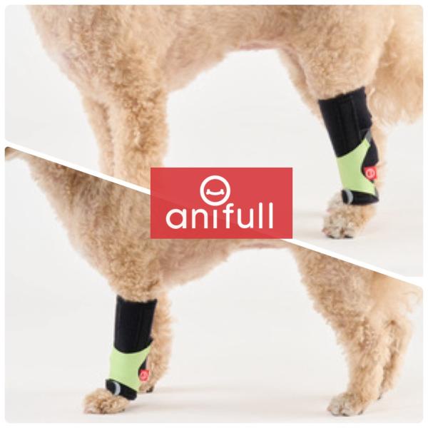 手首足首兼用商品です。【こんなワンちゃんにおすすめ】・手や足を引きずり地面に擦って歩く・歩き方がフラフラしている・手首・足首の支えが必要になった【ポイント】★軟性ステー(樹脂ステー)内蔵関節部分の動揺性を抑えるためにステーを内蔵しています。...