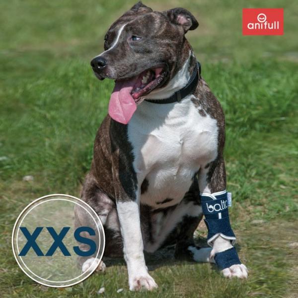 サポーターの背面に内蔵されたスプリントで、手根関節を自然な角度のまま固定します。※本品は室内での使用を想定した商品です。野外で使用する場合は、靴下やブーツなどの手根関節を保護できる商品を装着してください。■使用素材・ポリウレタン・レーヨン・...