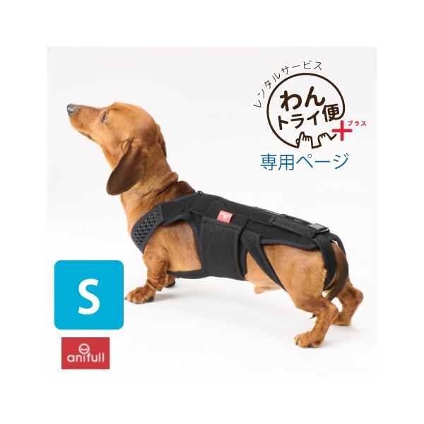 ※こちらはレンタルサービス「わんトライ便+」の専用ページです※ 販売用の商品ページではございませんのでご注意ください。コレクト(代引き)でご注文確定された場合はキャンセルとなります。※レンタル期間は5日間です。延長ご希望の場合はお問合せくだ...