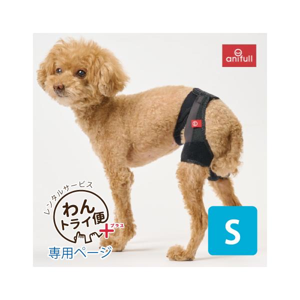 ※こちらはレンタルサービス「わんトライ便+」の専用ページです※ 販売用の商品ページではございませんのでご注意ください。コレクト(代引き)でご注文確定された場合はキャンセルとなります。※レンタル期間は5日間です。延長ご希望の場合はお問合せくだ...