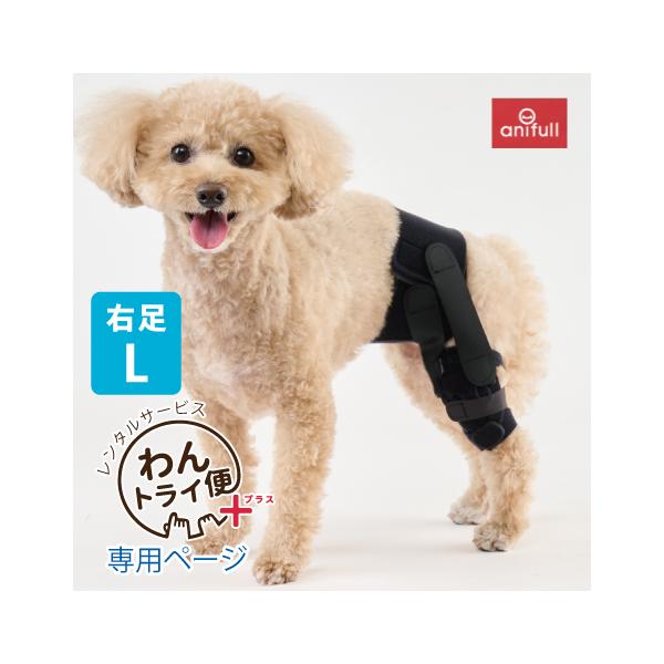 ※こちらはレンタルサービス「わんトライ便+」の専用ページです※ 販売用の商品ページではございませんのでご注意ください。コレクト(代引き)でご注文確定された場合はキャンセルとなります。※レンタル期間は7日間です。動きを止めず、膝蓋骨周辺をピン...