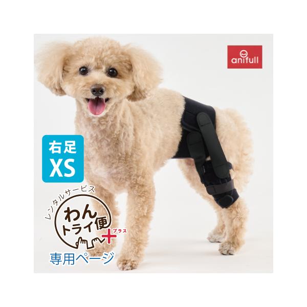 ※こちらはレンタルサービス「わんトライ便+」の専用ページです※ 販売用の商品ページではございませんのでご注意ください。コレクト(代引き)でご注文確定された場合はキャンセルとなります。※レンタル期間は5日間です。延長ご希望の場合はお問合せくだ...