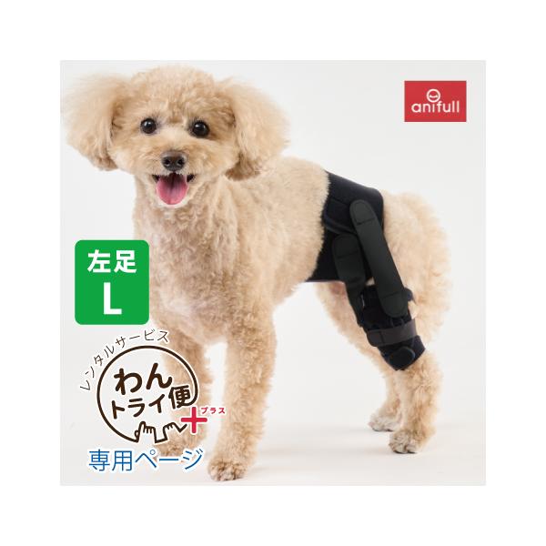 ※こちらはレンタルサービス「わんトライ便+」の専用ページです※ 販売用の商品ページではございませんのでご注意ください。コレクト(代引き)でご注文確定された場合はキャンセルとなります。※レンタル期間は5日間です。延長ご希望の場合はお問合せくだ...