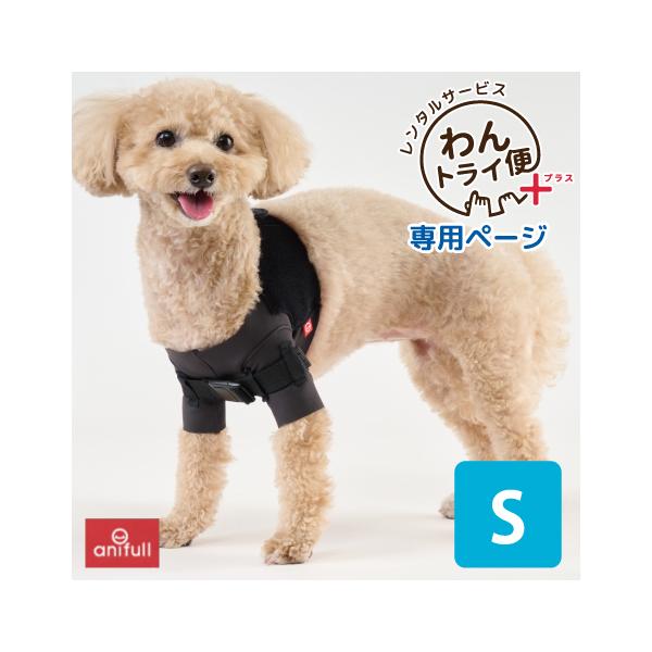 ※こちらはレンタルサービス「わんトライ便+」の専用ページです※ 販売用の商品ページではございませんのでご注意ください。コレクト(代引き)でご注文確定された場合はキャンセルとなります。※レンタル期間は5日間です。延長ご希望の場合はお問合せくだ...