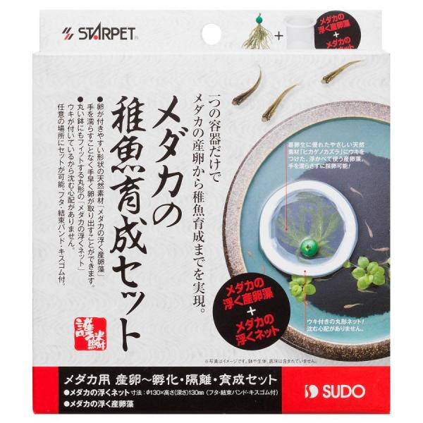 スドー　　メダカの稚魚育成セット※箱凹み・よごれありメダカの産卵から稚魚の育成までをサポートする、稚魚育成セットです。卵が付きやすい形状の天然素材「メダカの浮く産卵藻」で、手を濡らすことなく手早く卵を取出すことができます。メダカの浮くネット...