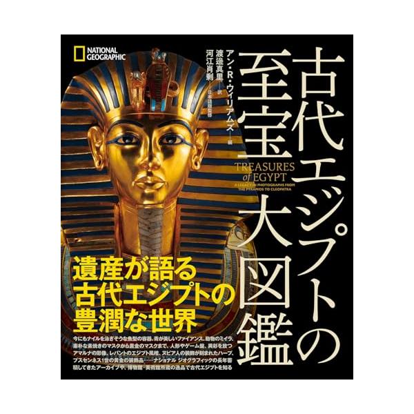 ※掲載されている商品の写真は代表写真となっておりますので、外箱、説明書、リモコン等は付属しない場合がございます。用途機能として最低限の付属品はお送りいたしますが、気になる方はご購入前にお問い合わせをお願いいたします。またイヤホン・カートリッ...
