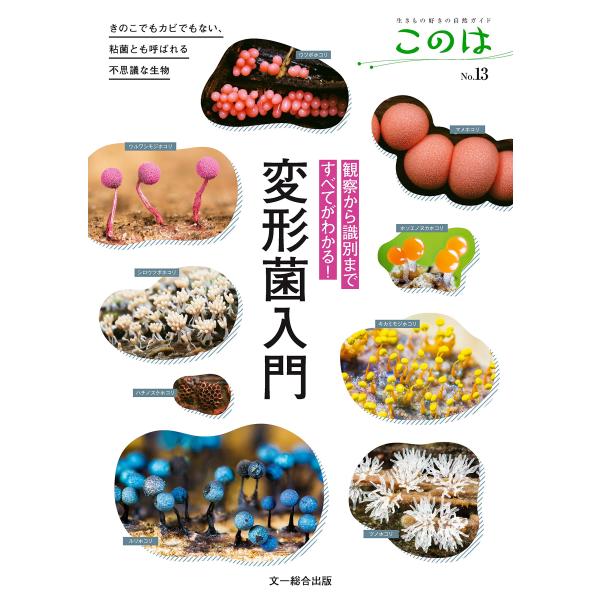 ※掲載されている商品の写真は代表写真となっておりますので、外箱、説明書、リモコン等は付属しない場合がございます。用途機能として最低限の付属品はお送りいたしますが、気になる方はご購入前にお問い合わせをお願いいたします。またイヤホン・カートリッ...