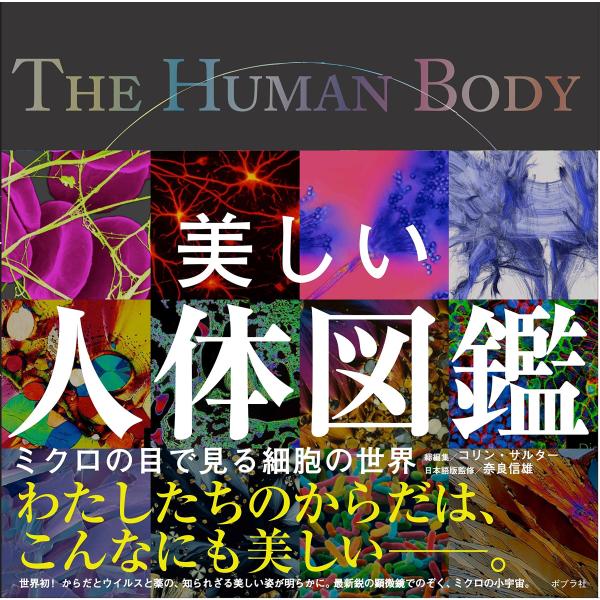 ※掲載されている商品の写真は代表写真となっておりますので、外箱、説明書、リモコン等は付属しない場合がございます。用途機能として最低限の付属品はお送りいたしますが、気になる方はご購入前にお問い合わせをお願いいたします。またイヤホン・カートリッ...