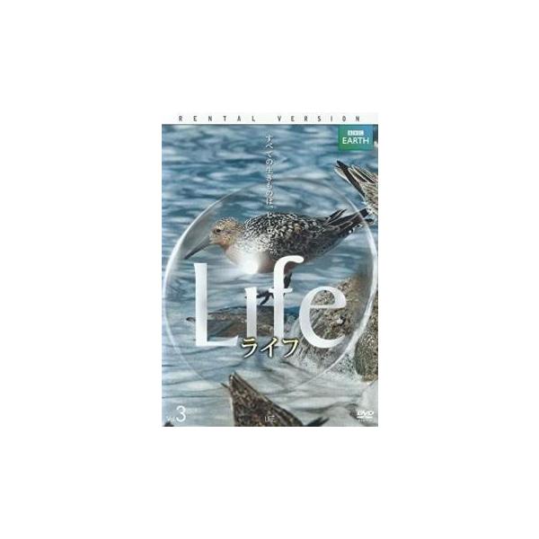 【バーゲン】 (ジャンル) その他、ドキュメンタリー 動物 (入荷日) 2025-05-18