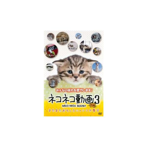 【バーゲン】 (ジャンル) その他、ドキュメンタリー 動物 (入荷日) 2023-12-19