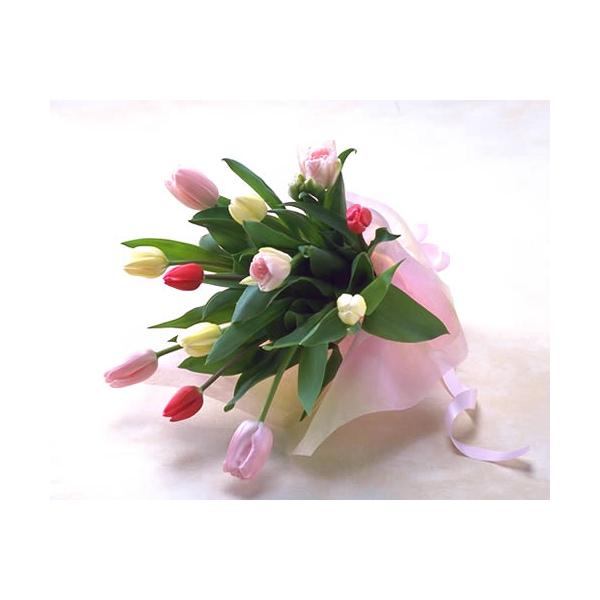 春といえばチューリップ！春の代名詞のようなお花です。ピンクや赤や白のチューリップが優しく微笑んでいるような、気持ちを明るくさせてくれるような花束です。[即日発送・翌日配達]　 誕生日・記念日・お祝い・結婚祝い・お見舞い・歓送迎会・結婚祝い・お礼