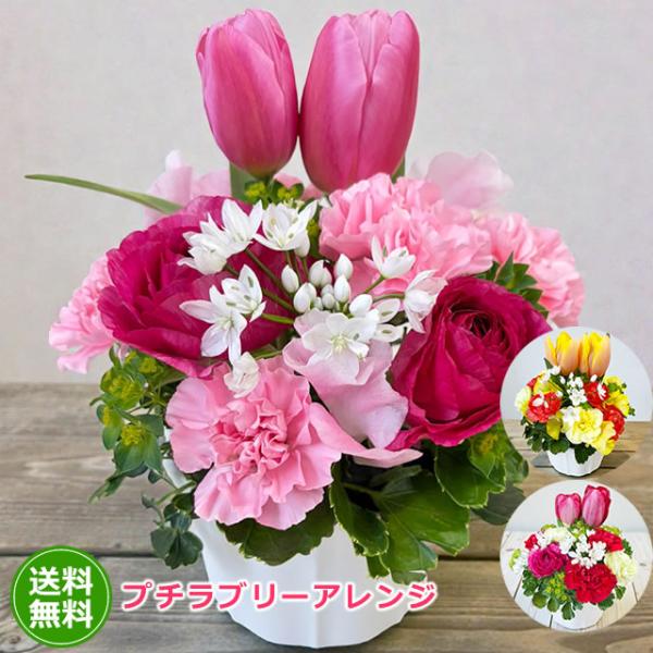 コンパクトで可愛い春を感じるアレンジメント！チューリップや春のお花の色合いがとても素敵なアレンジです。【お急ぎお届け】【即日発送】【お誕生日】【結婚記念日】【結婚祝い】【出産祝い】【お礼】【記念日】【お祝い】【ご自宅用】【お見舞い】【還暦の...