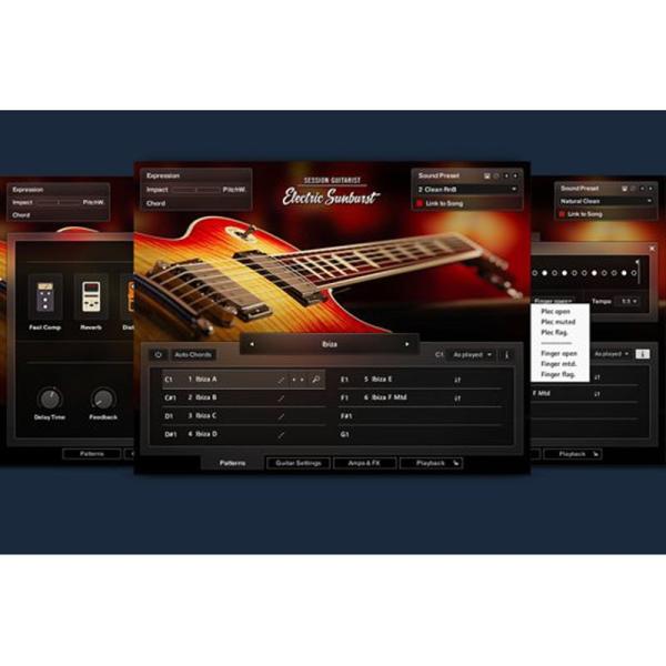 YOUR SESSION ELECTRIC PLAYER 現代の音楽制作に理想的なELECTRIC SUNBURSTは、往年のエレクトリックギターを正確にキャプチャーしています。ストラミングパターン、アルペジオ、本格的なリフの幅広いライブラ...