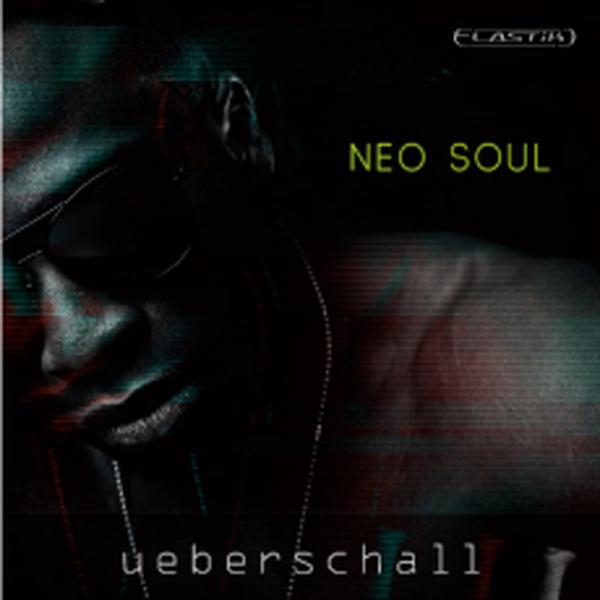 スムーズなグルーブ、ネオ・ソウルのサウンドを集めたライブラリ!『NEO SOUL』は、スムーズでダウンテンポなグルーブのネオ・ソウルを約3.5GB 収録したループ / フレーズ音源です。テンポレンジ60〜82BPMの10種類のコンストラクシ...