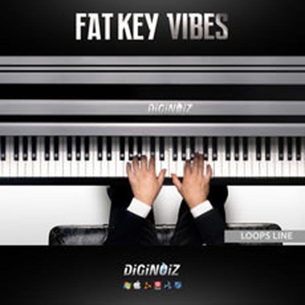 お手軽ダウンテンポ系キーボード音源100種類以上のキーボードフレーズを集めたライブラリ『FAT KEY VIBES 1』Diginoizより登場！HipHop〜R&amp;B〜Downtempoなどに合うキーボードフレーズを収録したこのライ...