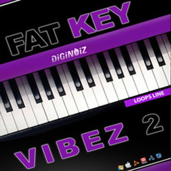 MIDIファイルも同梱したDiginoizのキーボード音源第二弾『FAT KEY VIBES 1』の続編『FAT KEY VIBEZ 2』。この続編の最大の特徴はMIDIファイルを収録していること。好みのフレーズを自由にアレンジしたり、お手...