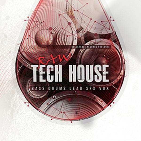 DELECTABLE RECORDSのテックハウス・ライブラリ・Guy Gerber， Thomas Schumacher， Deep Dish， Loco Dice， Paul Kalkbrenner， Jeff Samuelなどから影響...