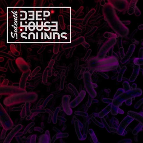 DIGINOIZのディープハウス向けSYLENTHプリセット集・ディープハウス向けのアルペジオ、ベース、コード、FX、オルガン、パッドなどのSYLENTHプリセットを収録・合計収録数64種類・収録形式：Sylenth1（Sylenth1 v...