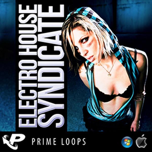 エレクトロハウスのループ素材のみを集めたライブラリ・エレクトロハウス系のサイドチェーンの掛かったシンセフレーズやベースラインを中心に収録・ドラムループはFullとキックなしを収録・WAVファイル合計350種類以上・収録形式：WAV(Acid...